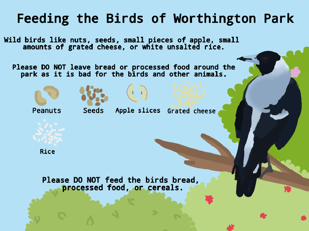 Feeding the Birds | Friends of Worthington Park